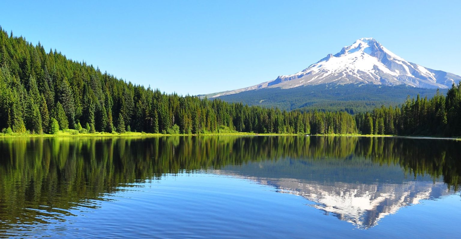 17 Pros & Cons of Living in Oregon | Roadway Moving